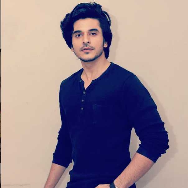 Shoaib Ali Actor | Biography Birthday Place