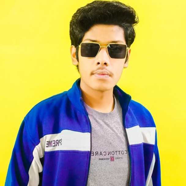 Arjit Mathur Influencers | Age Birthday Biography