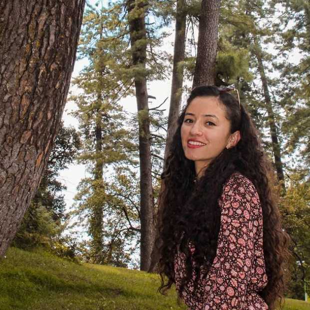 Kritika Verma Influencer | Biography Digital Creator