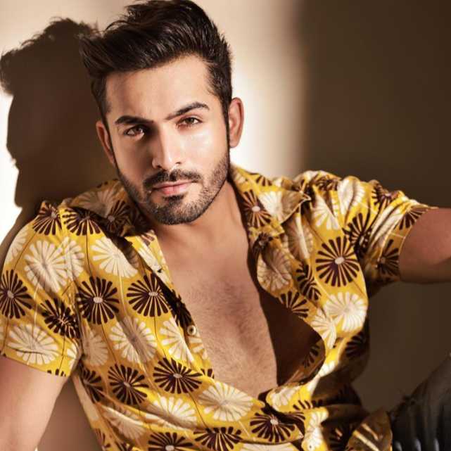 Ankush Kukreja TV Artist | Age Birthday Biography